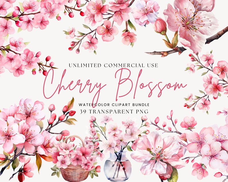 Cherry Blossom Clipart Bundle | Sakura PNG | Spring Flowers PNG ...