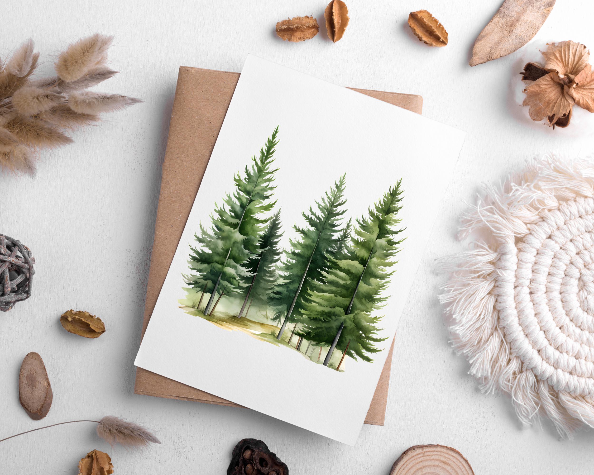 Pine Tree Watercolor Clipart Bundle | Evergreen PNG | Forest Tree Art ...