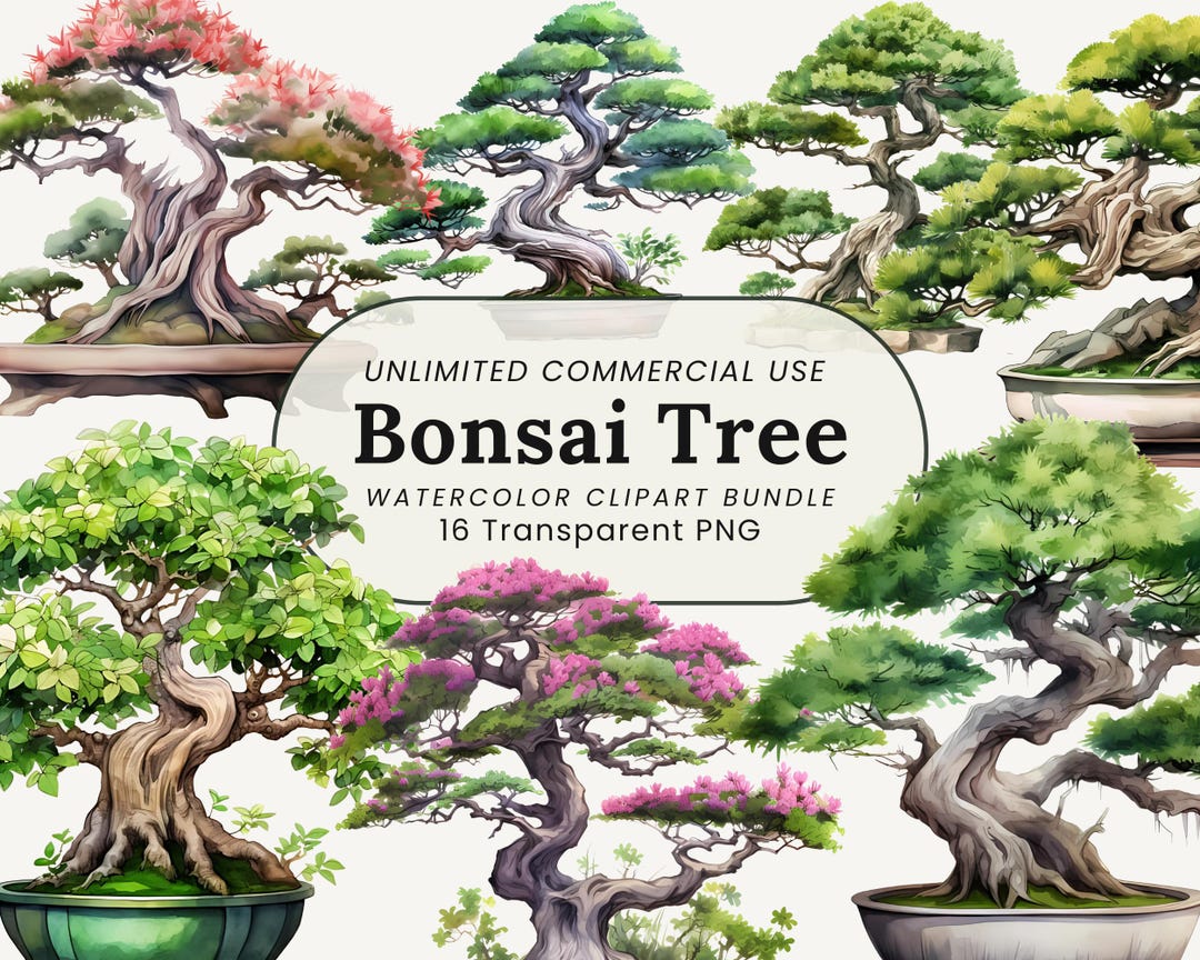 Bonsai Tree Watercolor Clipart | Bonsai PNG | Japanese Tree Art | Zen ...