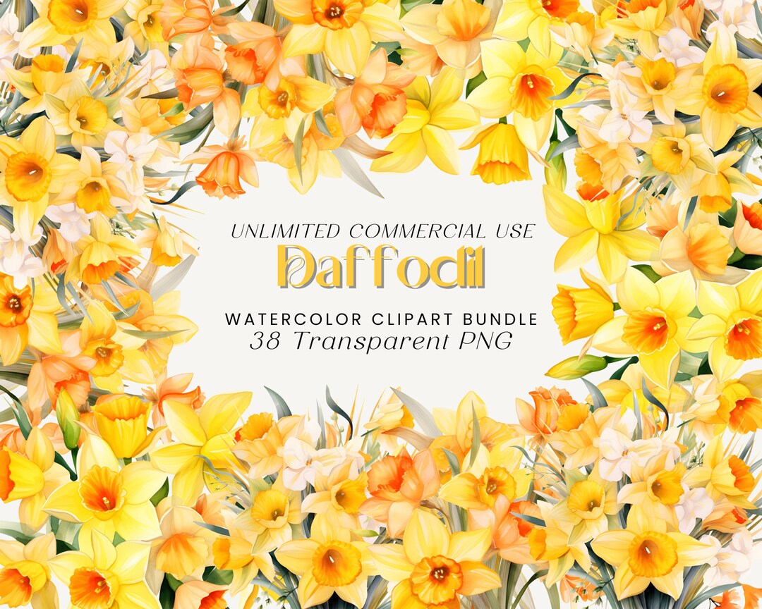 Daffodil Flower Watercolor Clipart Bundle | Bright Spring Flowers ...