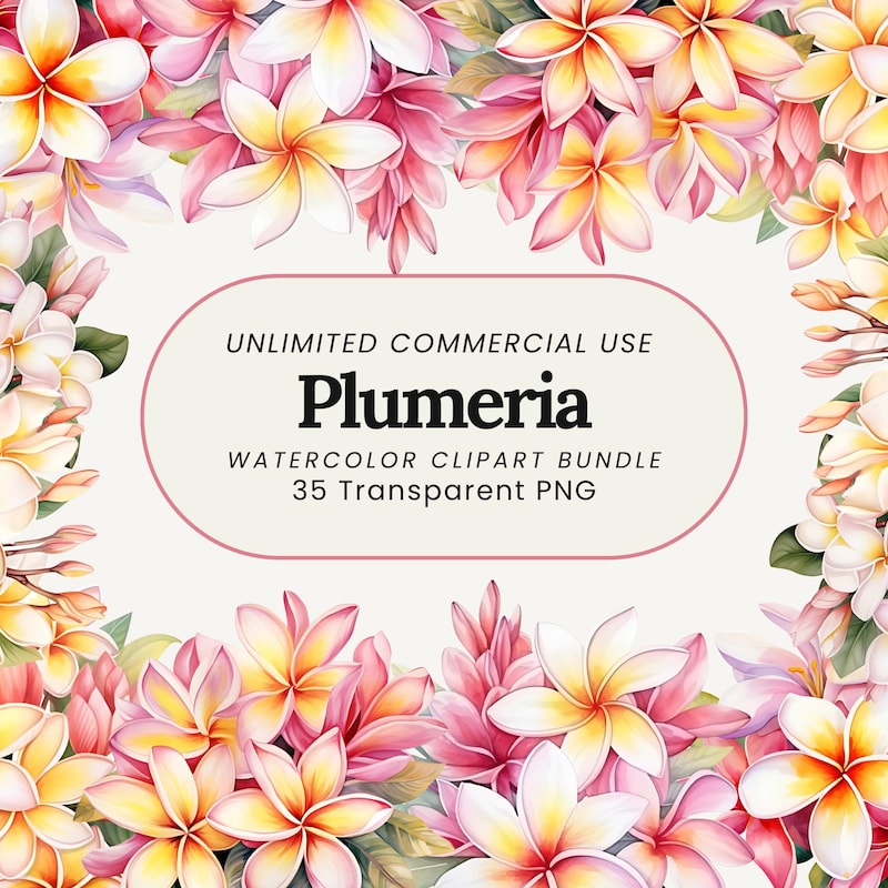 Plumeria Flower Borders - Etsy