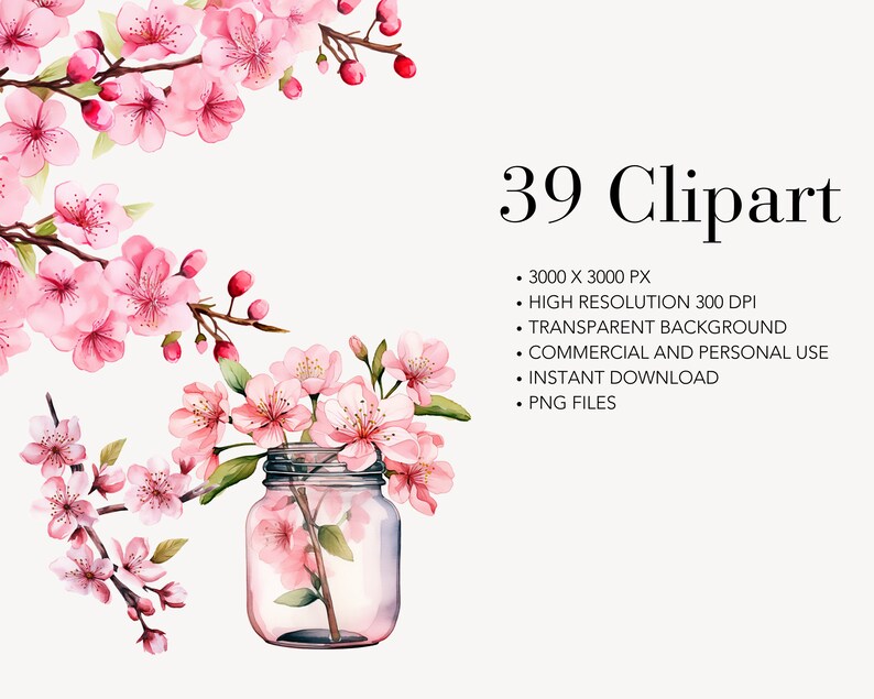 Cherry Blossom Clipart Bundle | Sakura PNG | Spring Flowers PNG ...