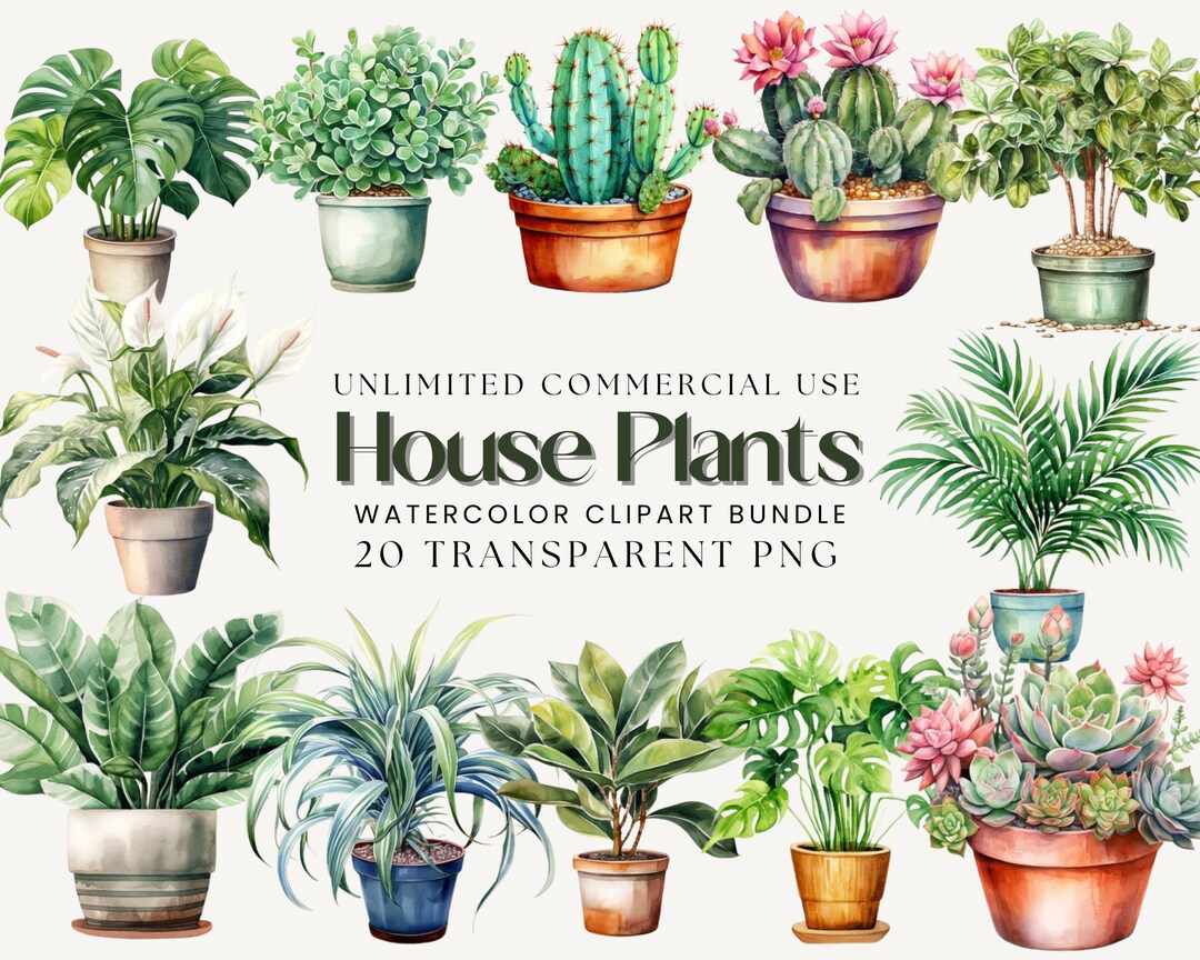 Watercolor House Plants Clipart Bundle | Potted Plants, Snake Plant ...
