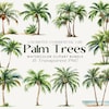 Beach Palm Tree Clipart: Summer Scrapbooking Jpgs (digital Download) - Etsy