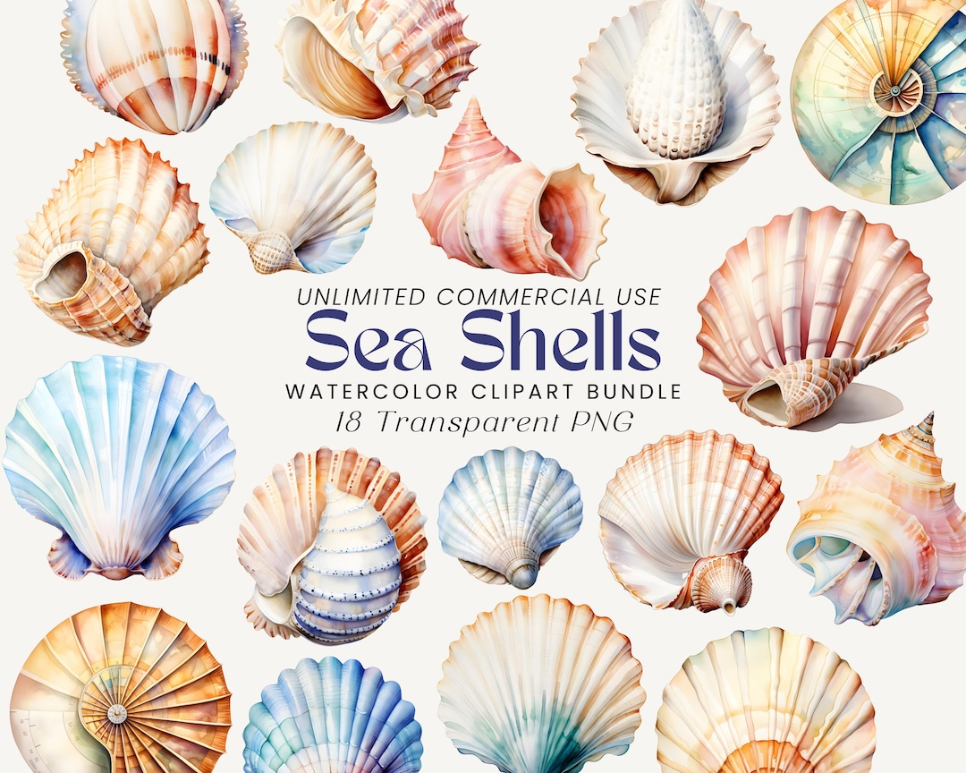 Seashell Watercolor Clipart Bundle | Sea Life Clipart | Ocean Clipart ...