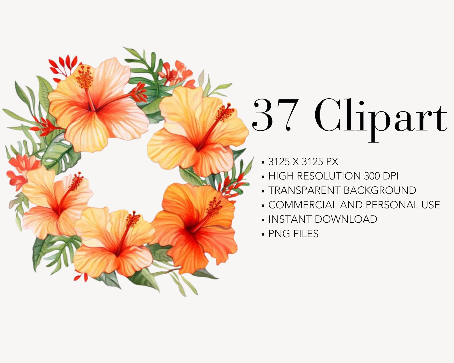 Hibiscus Watercolor Clipart Bundle | Tropical Flower, Exotic Flower ...