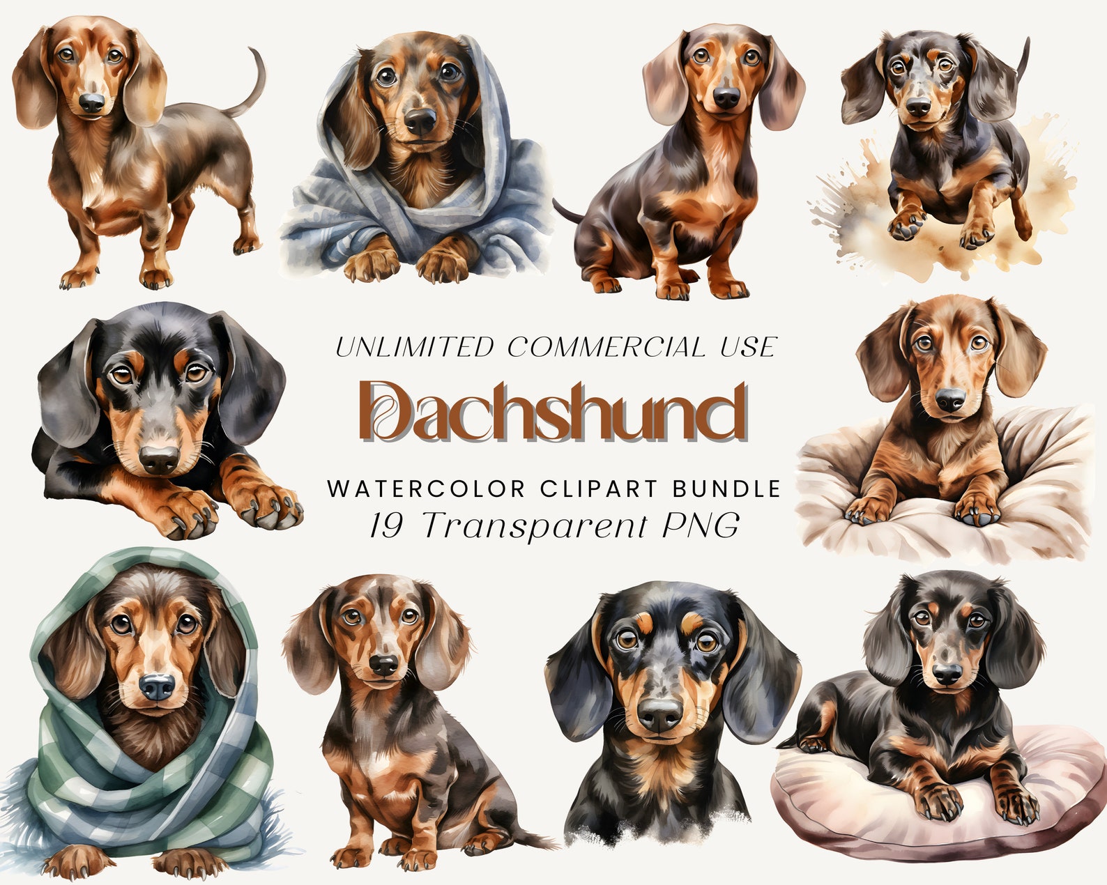 Dachshund Watercolor Clipart Bundle | Sausage Dog PNG, Dog Clipart, Pet ...