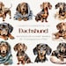 Dachshund Watercolor Clipart Bundle | Sausage Dog PNG, Dog Clipart, Pet ...