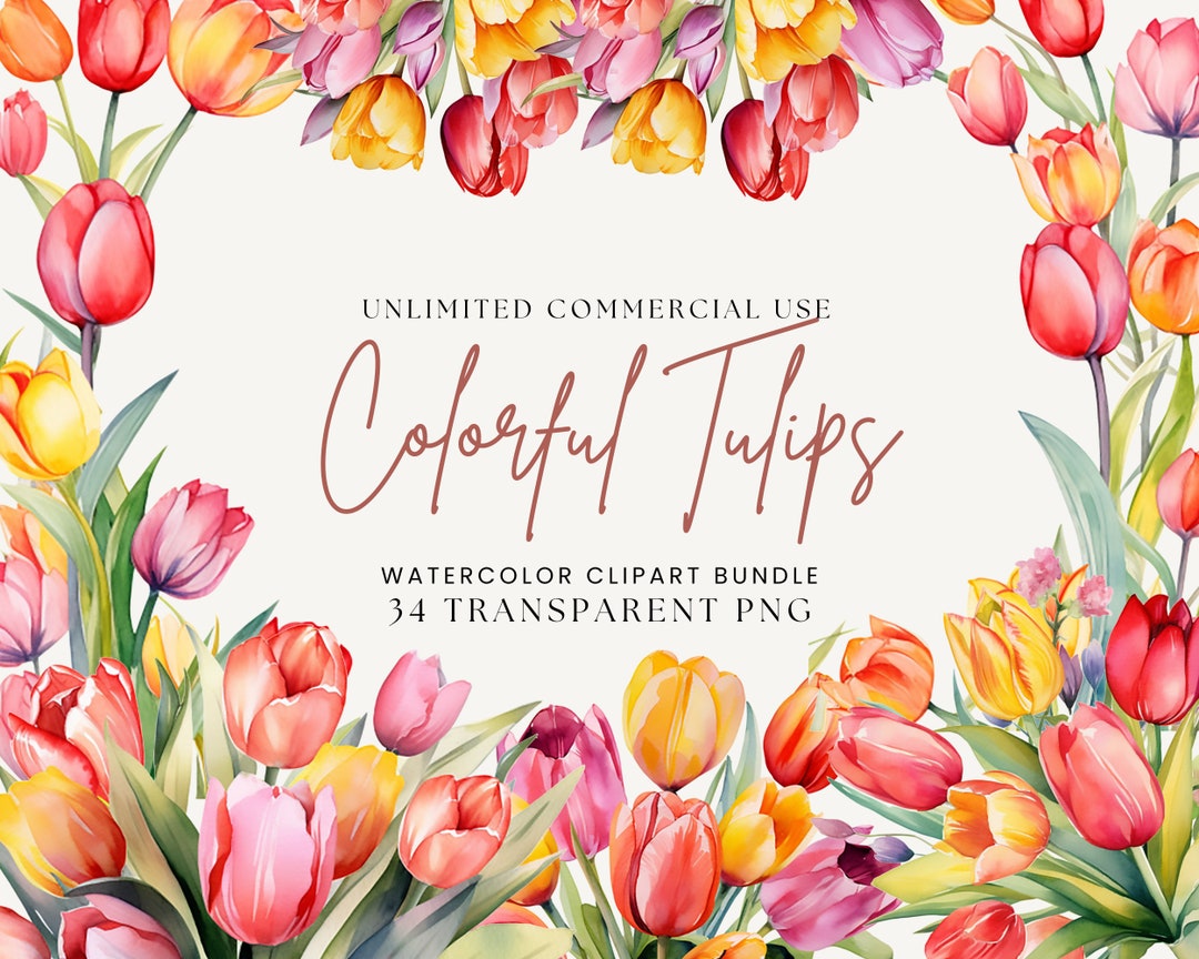 Watercolor Tulip Flowers Clipart Bundle | Tulip Bouquet PNG | Floral ...
