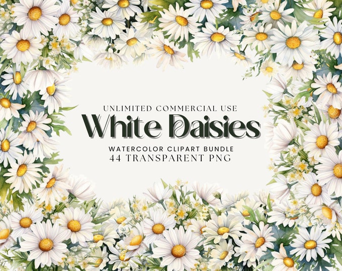 Daisy PNG, Daisy Border Clipart, Watercolor Daisy Clipart Bundle ...