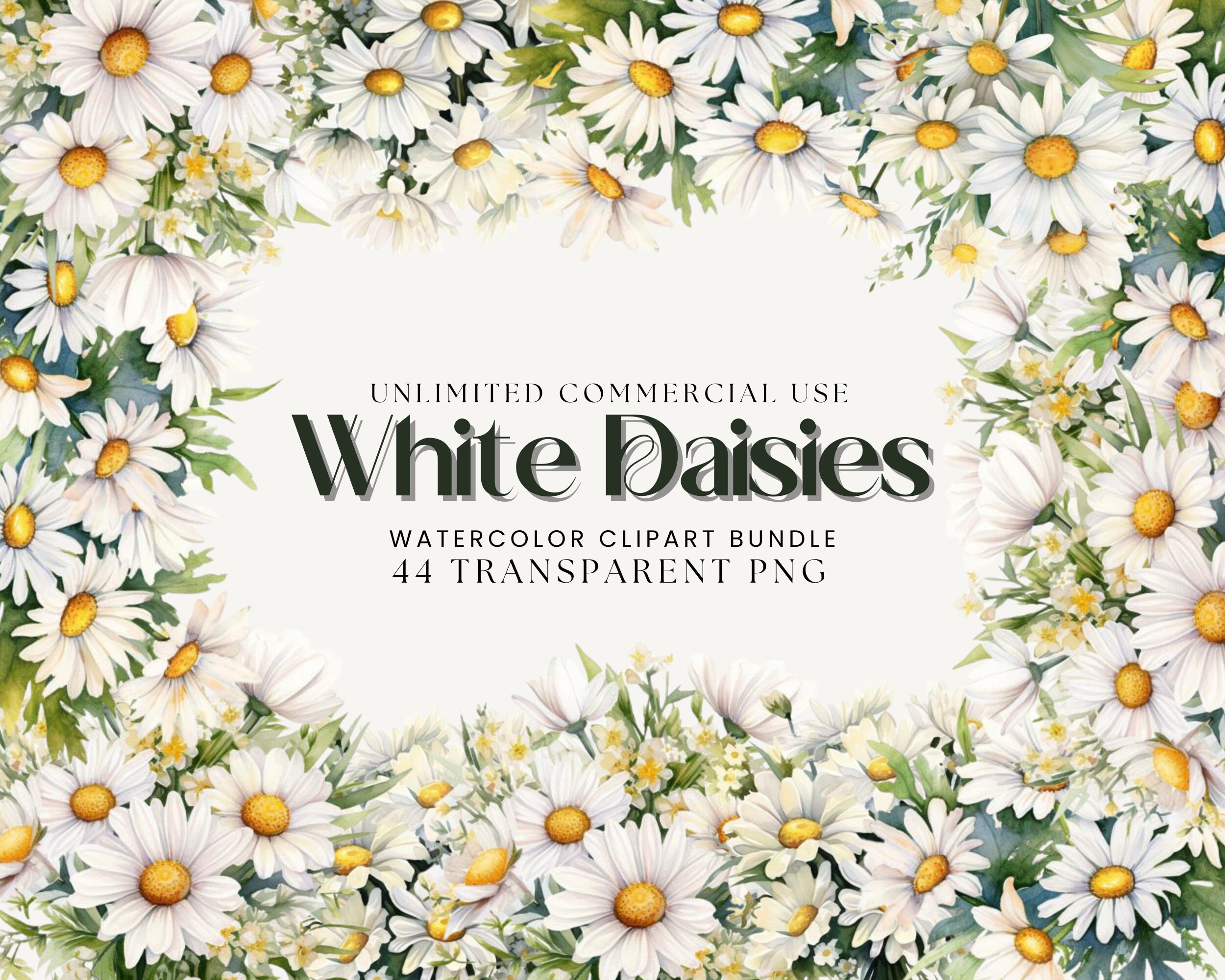 Watercolor Daisy Clipart Bundle Daisy Bouquet, Daisy Wreath, Daisy ...