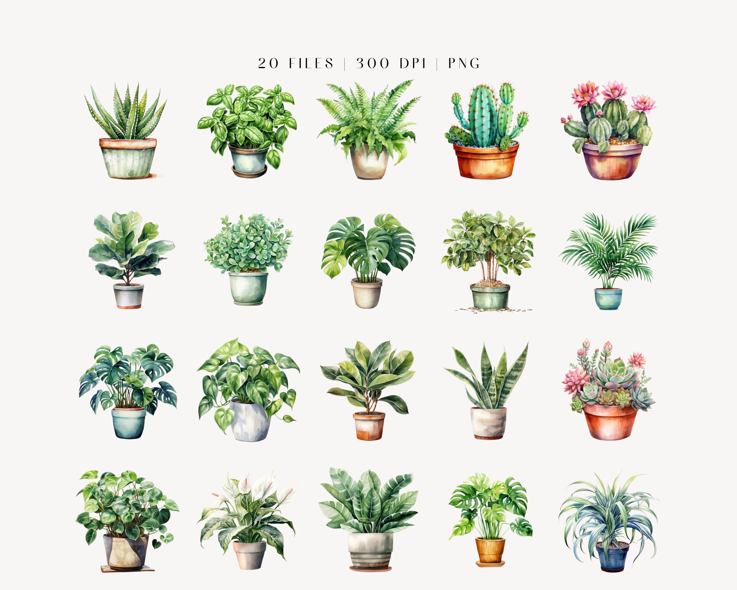Watercolor House Plants Clipart Bundle | Potted Plants, Snake Plant ...