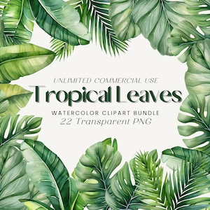 Tropical Leaf Watercolor Clipart Bundle | Exotic Foliage PNG (digital ...