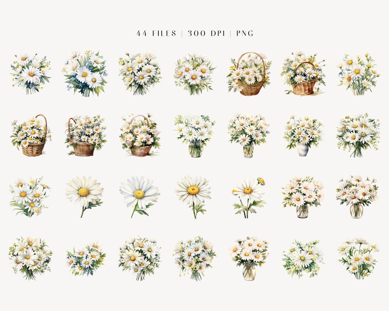 Watercolor Daisy Clipart Bundle | Daisy Bouquet, Daisy Wreath, Daisy ...