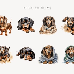 Dachshund Watercolor Clipart Bundle | Sausage Dog PNG, Dog Clipart, Pet ...