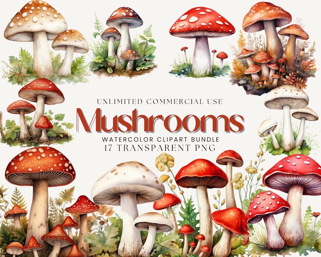 Watercolor Mushrooms Clipart Bundle | Forest, Nature, Spotted Mushroom ...