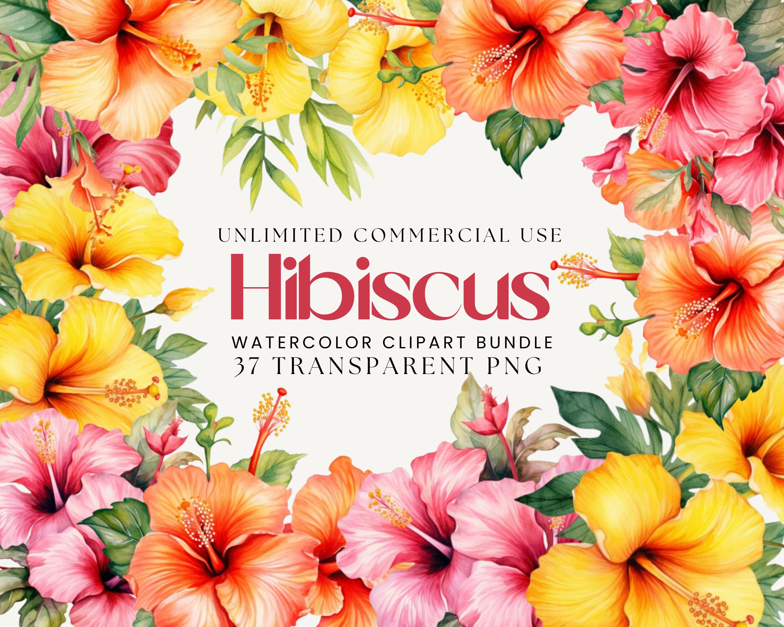 Hibiscus Watercolor Clipart Bundle | Tropical Flower, Exotic Flower ...