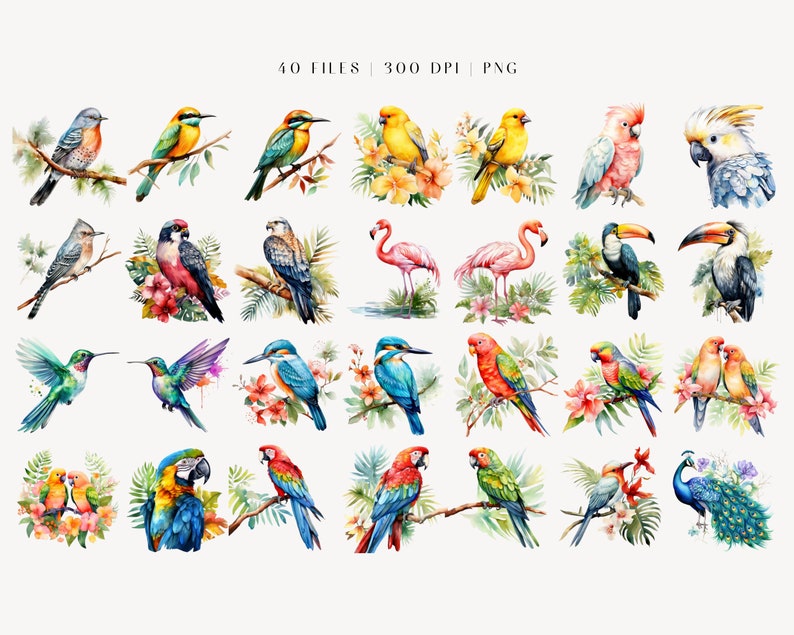 Watercolor Tropical Birds Clipart Bundle Flamingo, Parrot, Falcon ...