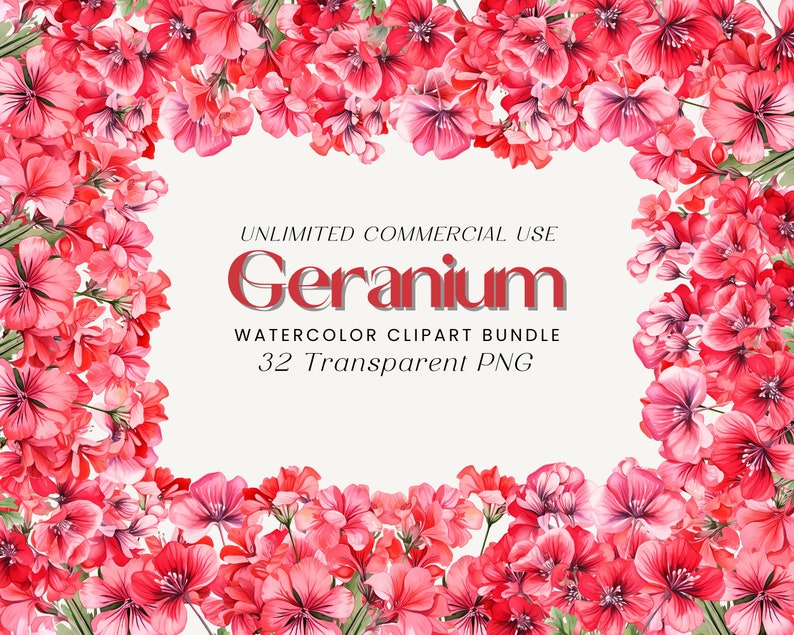Geranium Watercolor Clipart Bundle | Spring Flowers, Floral Clipart ...