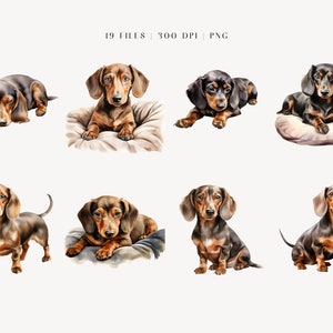 Dachshund Watercolor Clipart Bundle | Sausage Dog PNG, Dog Clipart, Pet ...