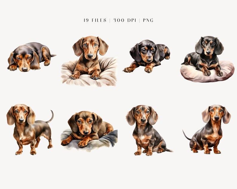 Dachshund Watercolor Clipart Bundle | Sausage Dog PNG, Dog Clipart, Pet ...