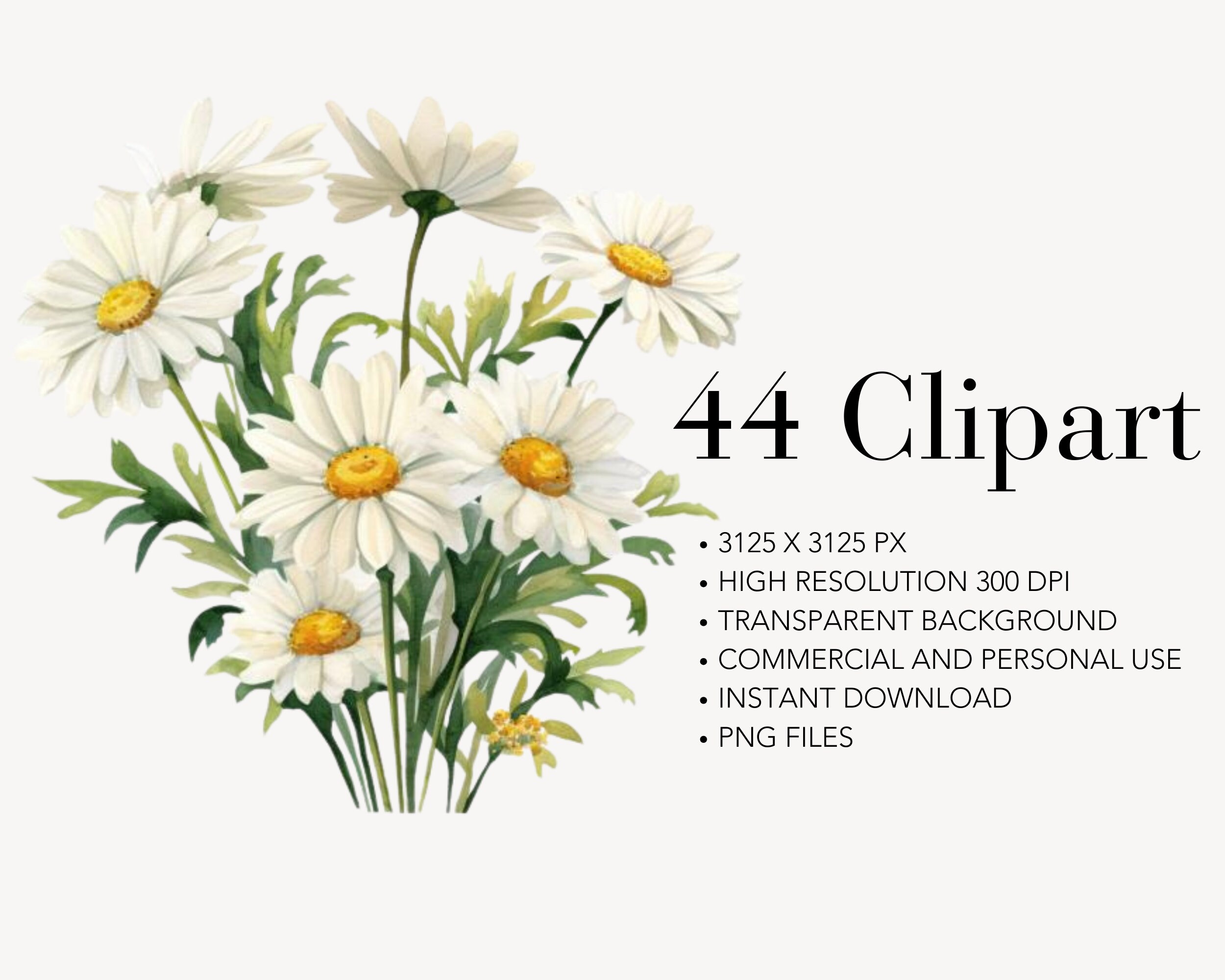 Watercolor Daisy Clipart Bundle Daisy Bouquet, Daisy Wreath, Daisy ...