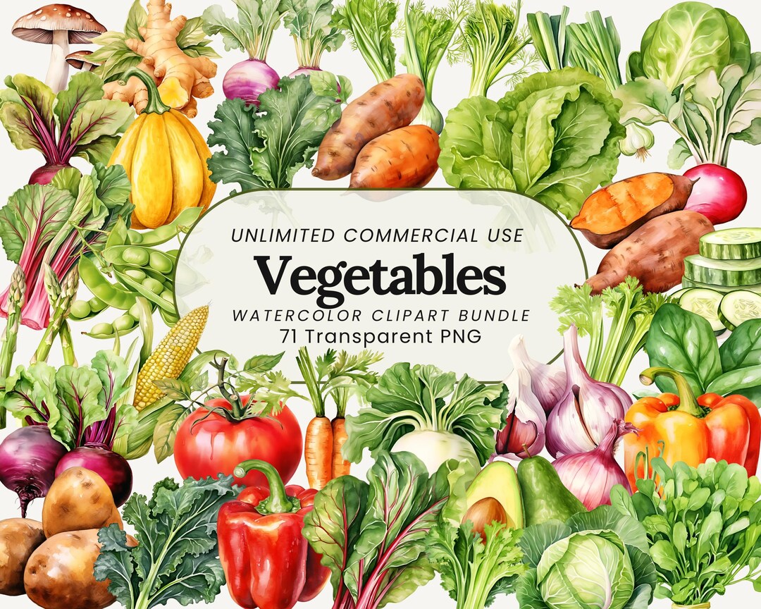Vegetable Watercolor Clipart Bundle | Watercolor Veggies PNG | Farm ...