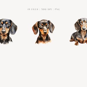 Dachshund Watercolor Clipart Bundle | Sausage Dog PNG, Dog Clipart, Pet ...