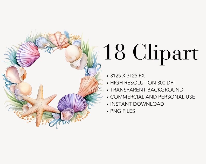 Seashell Borders Clipart Bundle | Wreaths and Frames, Seashell Frame ...