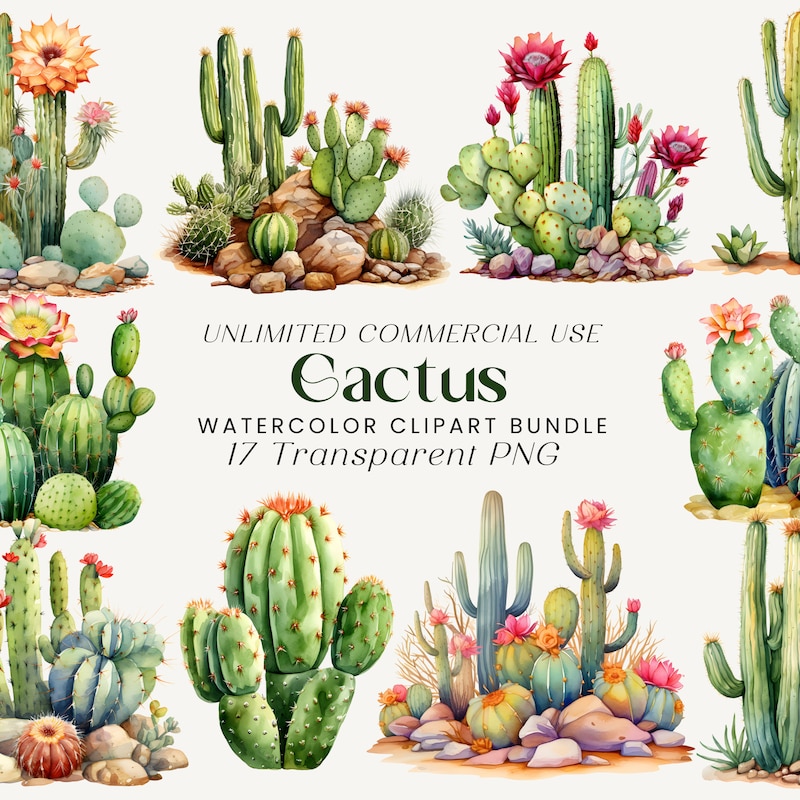 Cactus Watercolor - Etsy