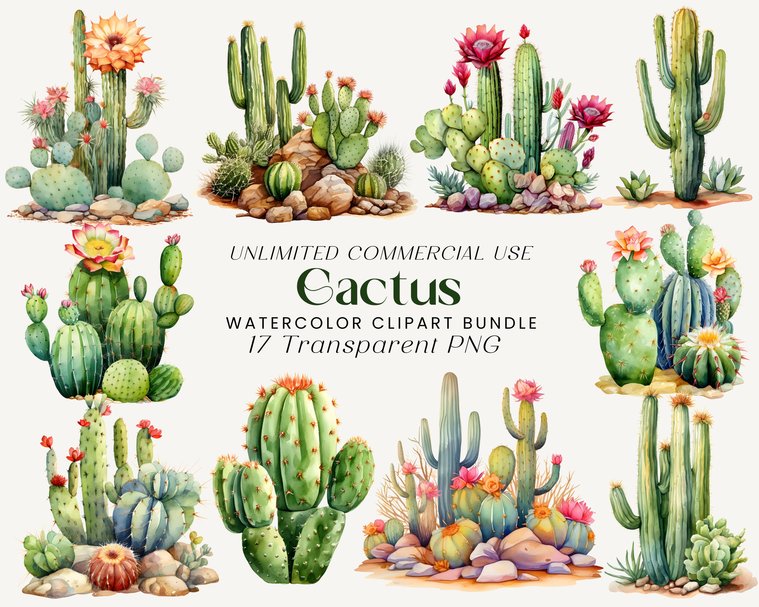 Cactus Watercolor Clipart Bundle Cacti Graphics, Desert Cactus, Western ...