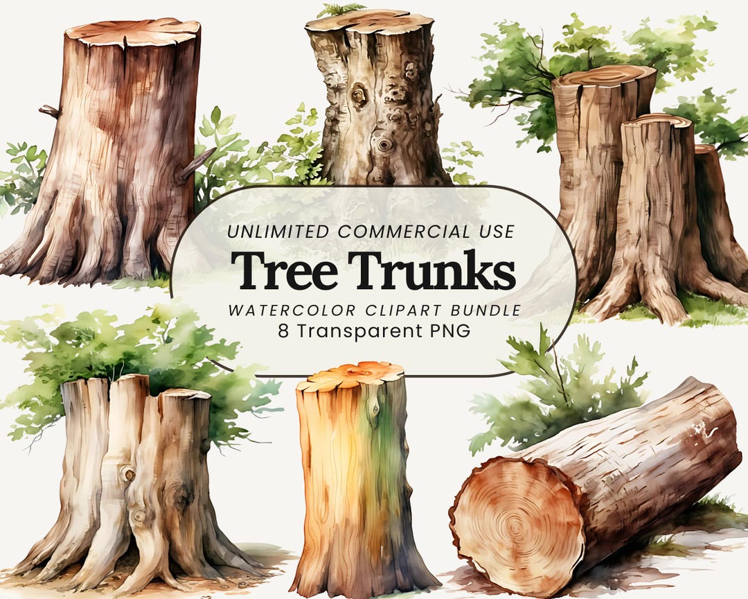 Tree Trunk Clipart | Wood Slice PNG | Forest Clipart Set | Nature ...