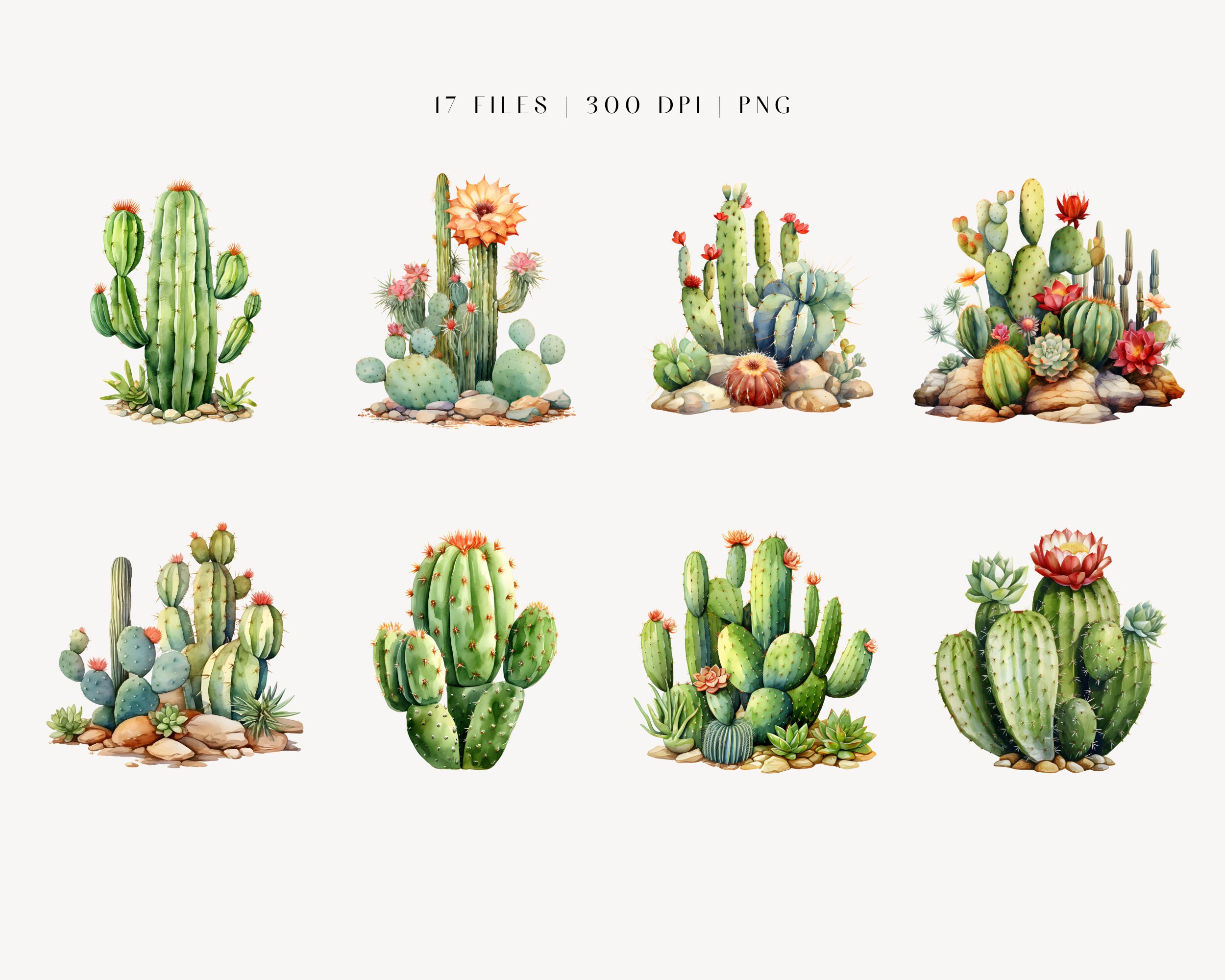 Cactus Watercolor Clipart Bundle Cacti Graphics, Desert Cactus, Western ...