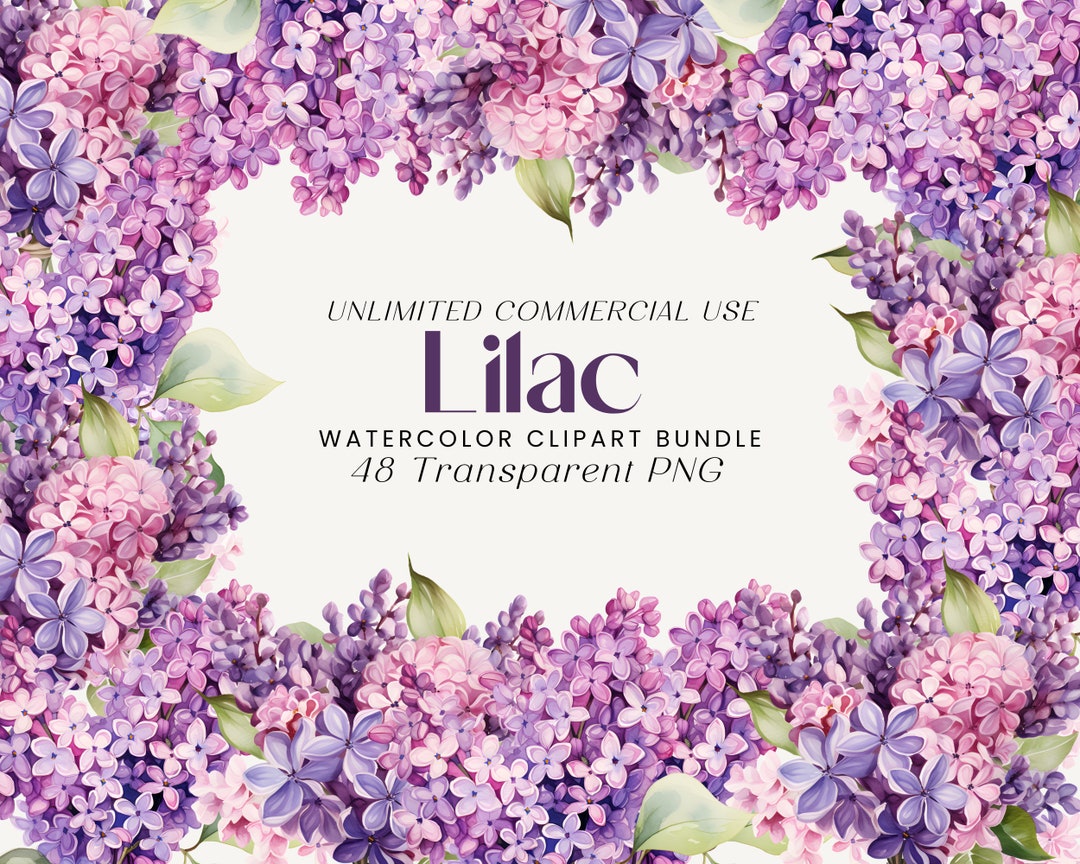 Lilac Watercolor Clipart Bundle | Spring Flowers, Floral Clipart ...