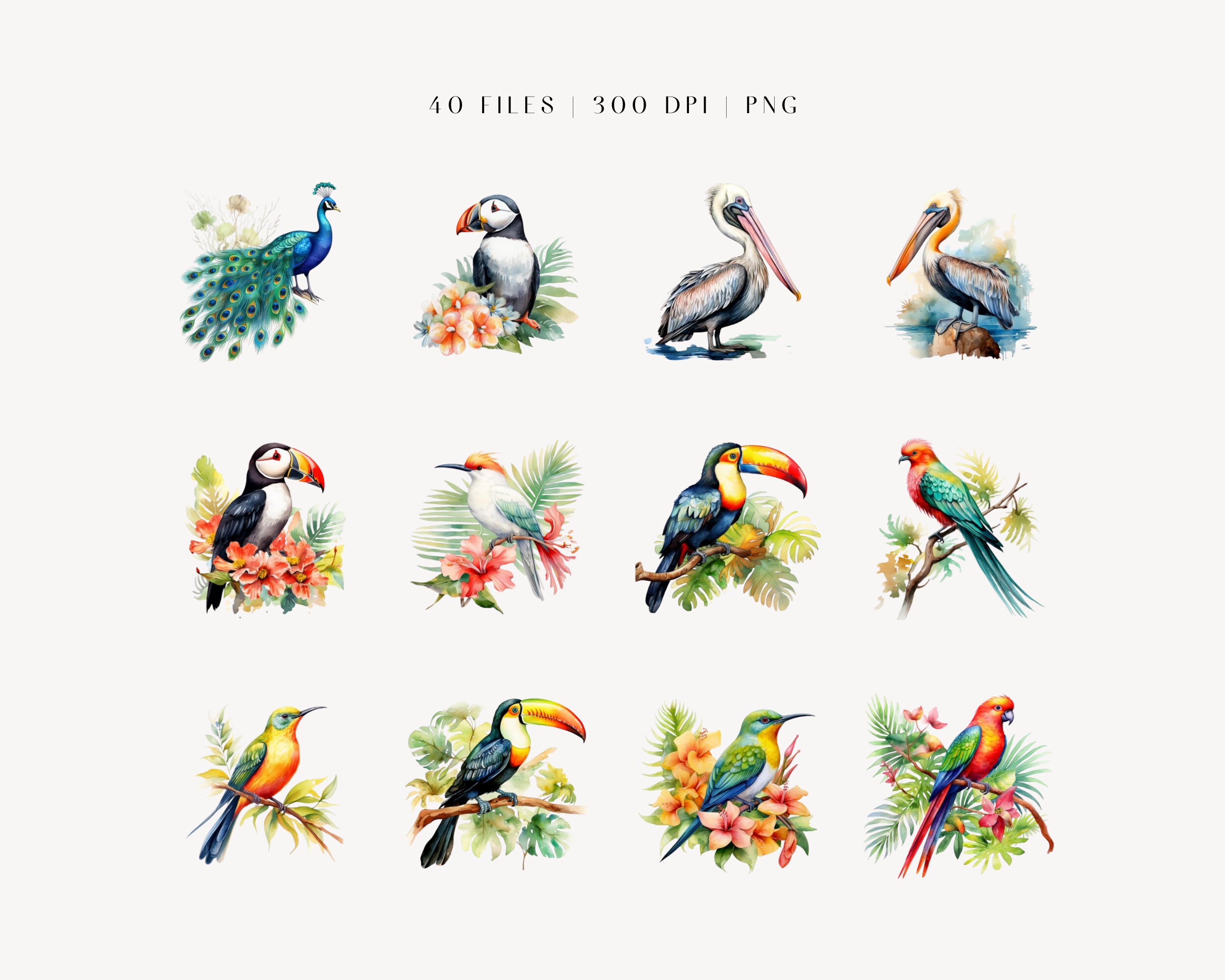 Watercolor Tropical Birds Clipart Bundle | Flamingo, Parrot, Falcon ...