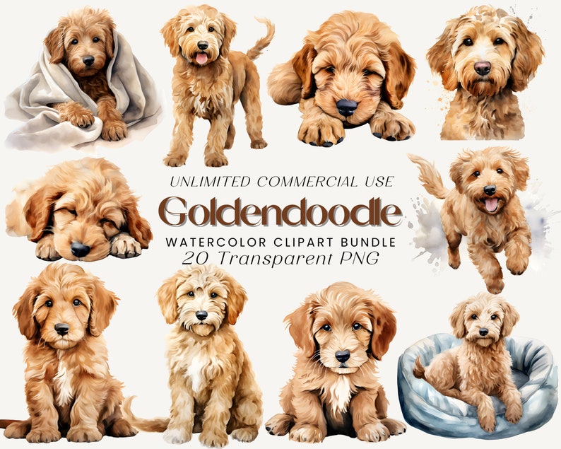 Goldendoodle Watercolor Clipart Bundle: 20 Puppy Pngs (digital Download ...