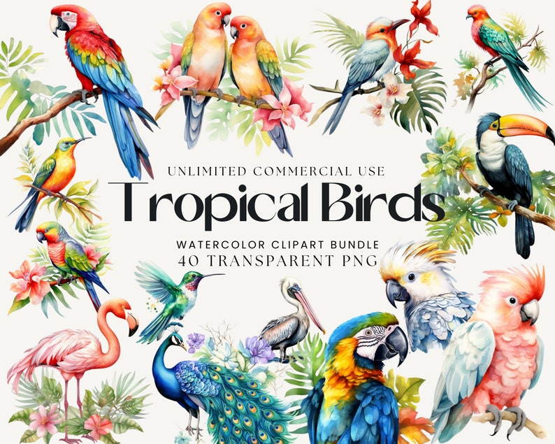Watercolor Tropical Birds Clipart Bundle | Flamingo, Parrot, Falcon ...