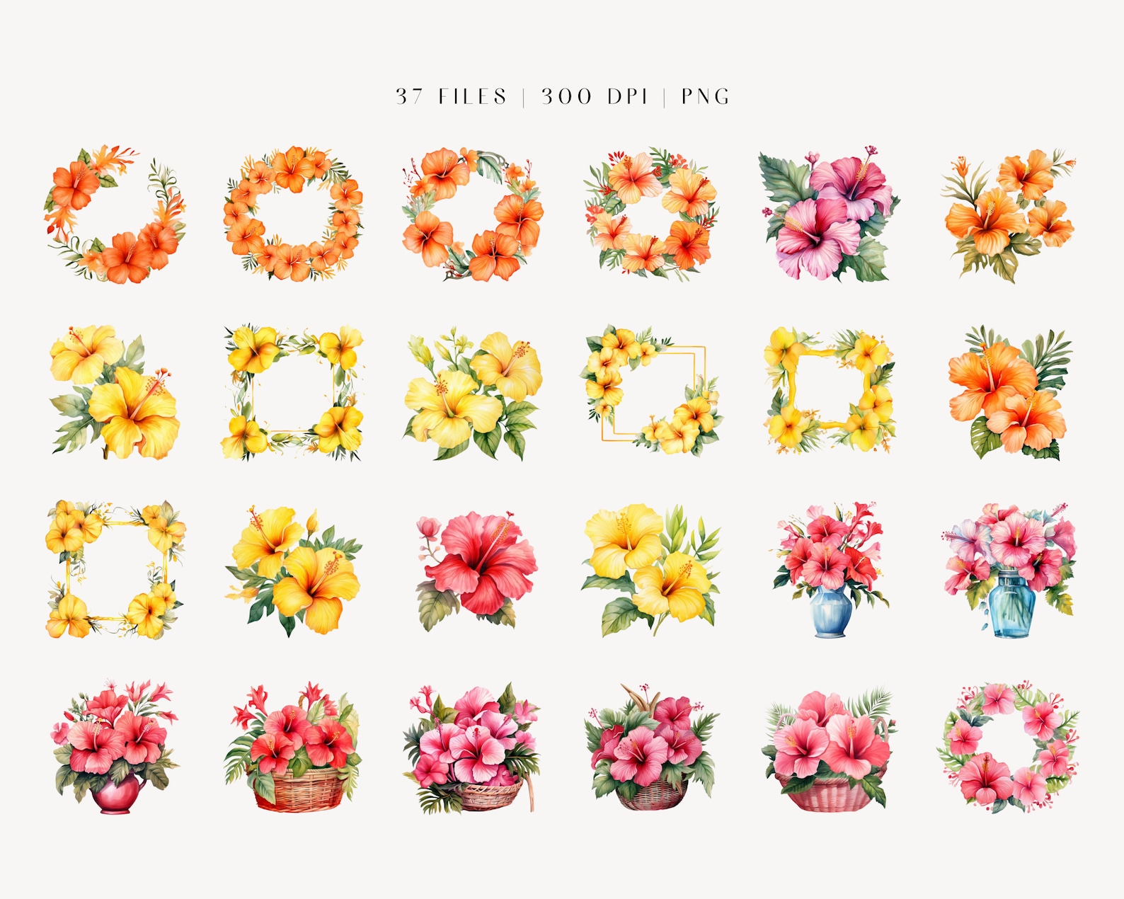 Hibiscus Watercolor Clipart Bundle | Tropical Flower, Exotic Flower ...