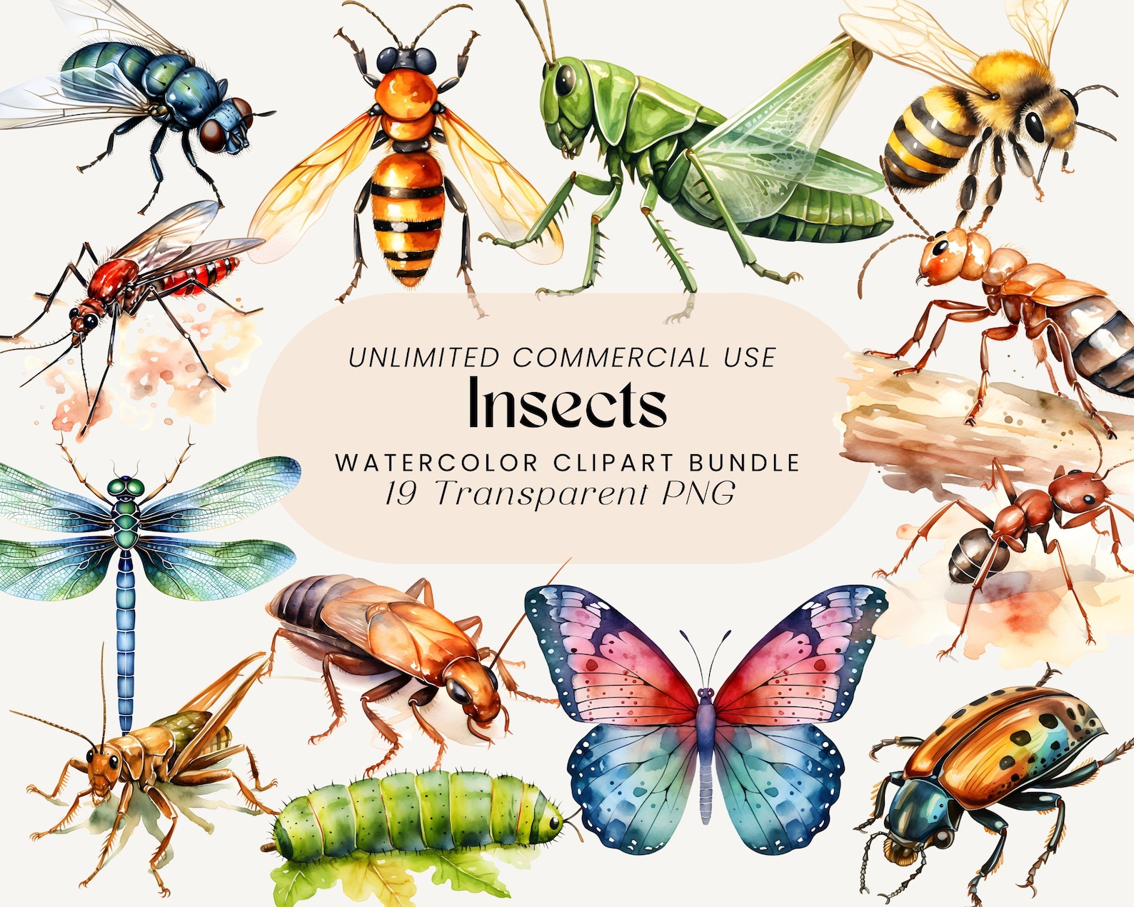 Insect Clipart Bundle | Bug Clipart | Butterfly PNG | Bee PNG ...