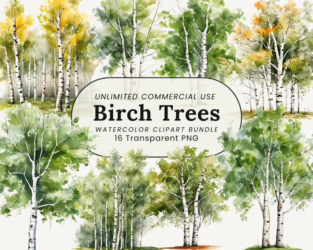 Birch Tree Watercolor Clipart | Digital Woodland Illustration ...