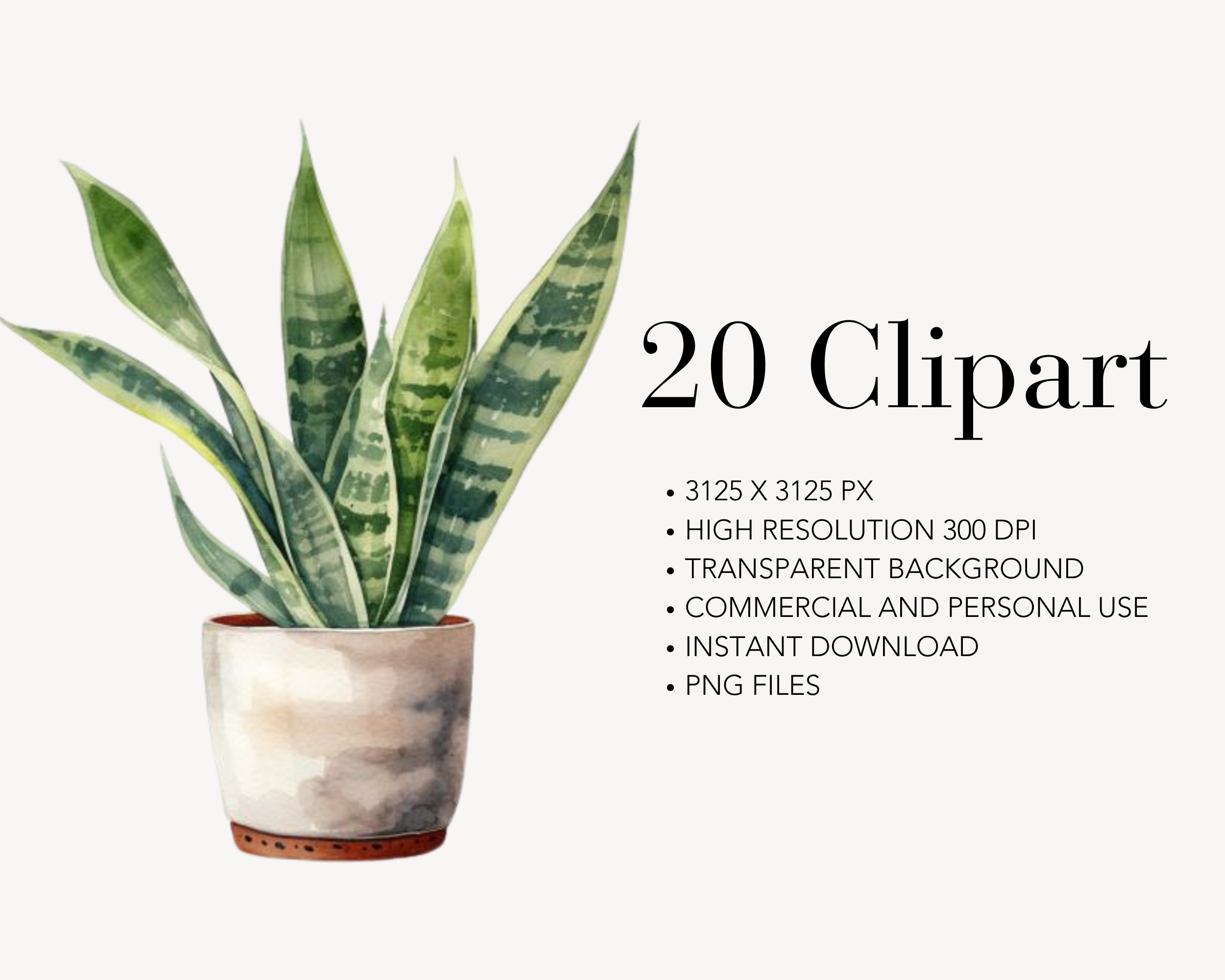 Watercolor House Plants Clipart Bundle | Potted Plants, Snake Plant ...