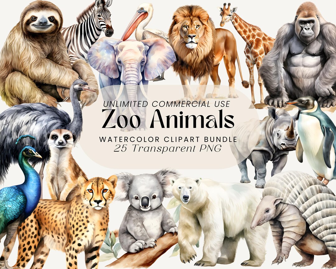 Zoo Animals Clipart Bundle | Cute Wildlife Animal Graphics for Kids ...