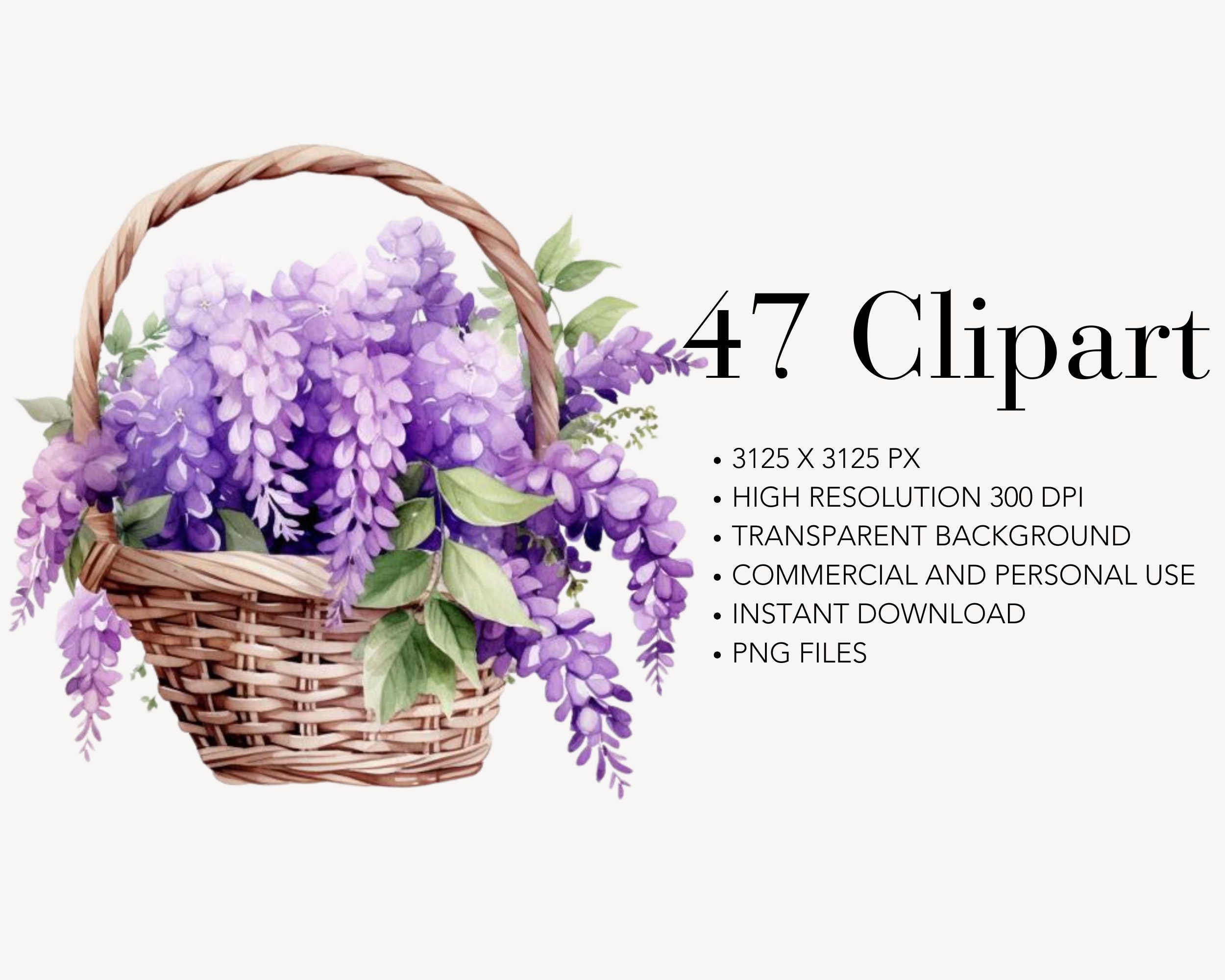 Watercolor Wisteria Clipart Bundle | Purple Flowers, Wisteria Frame ...