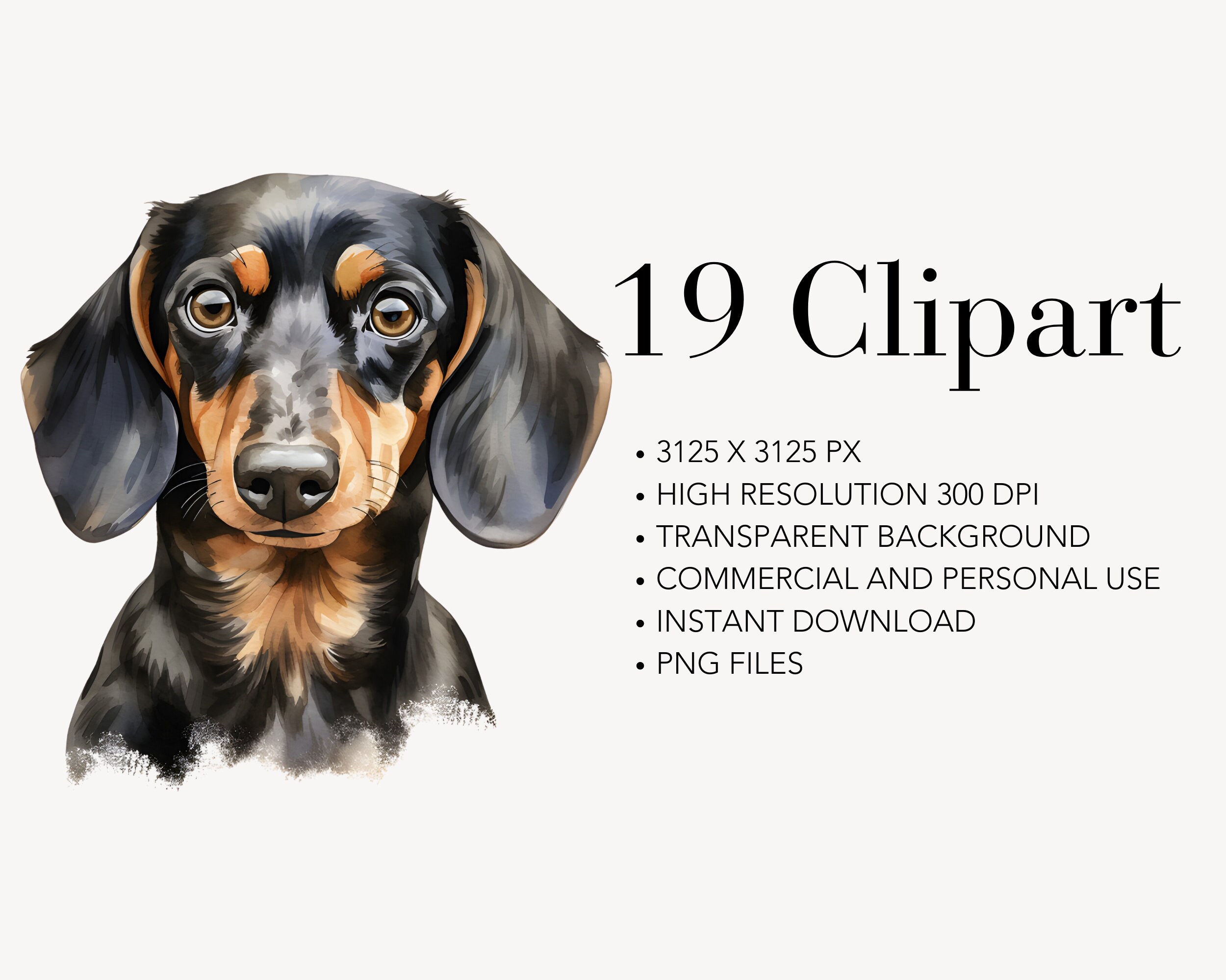 Dachshund Watercolor Clipart Bundle | Sausage Dog PNG, Dog Clipart, Pet ...