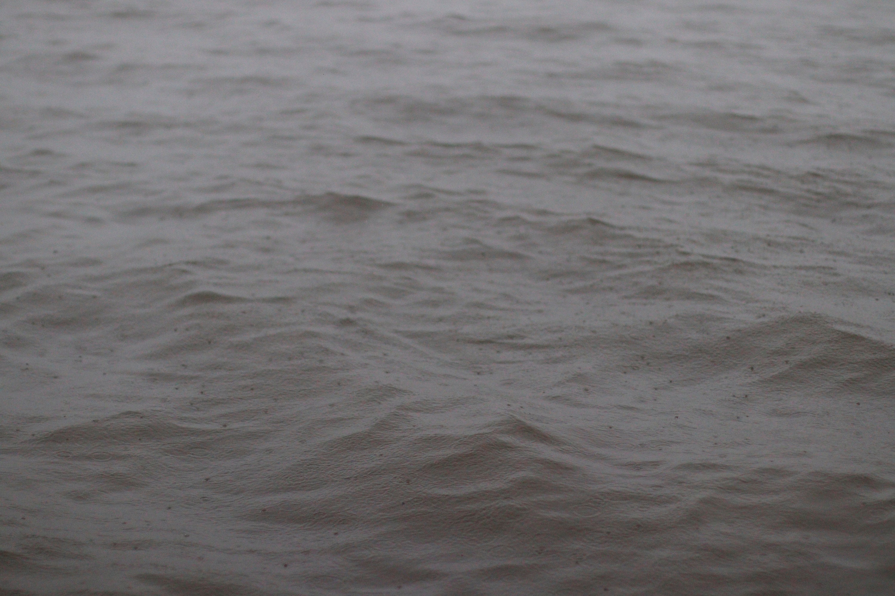 Ocean Rain, Nature Photography, Rain, Water, Digital Download - Etsy