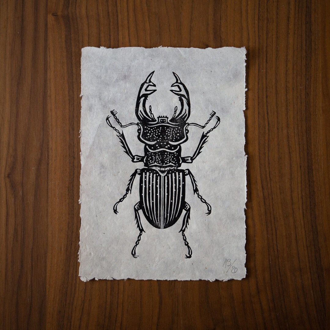 Stag Beetle Kite - Etsy