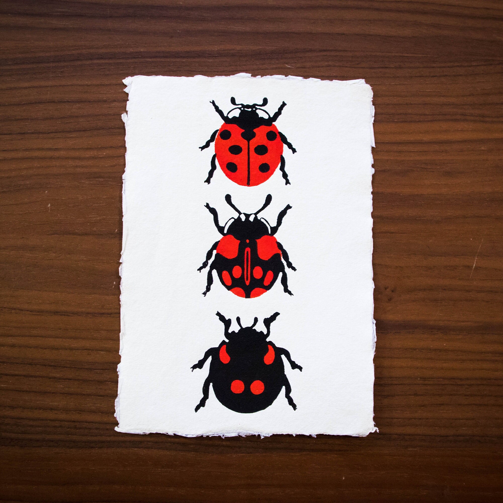 Beige Ladybugs - Etsy
