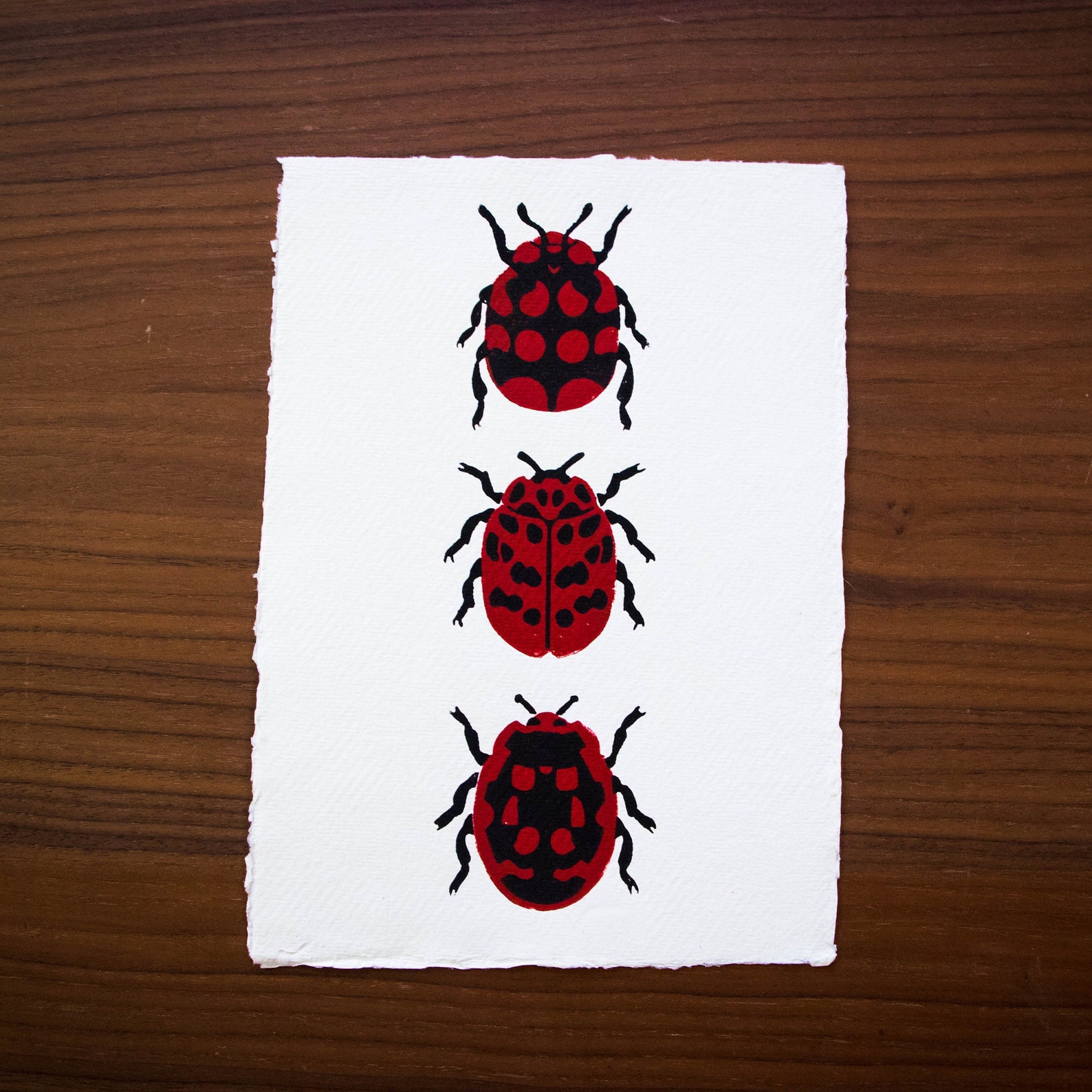 Beige Ladybugs - Etsy