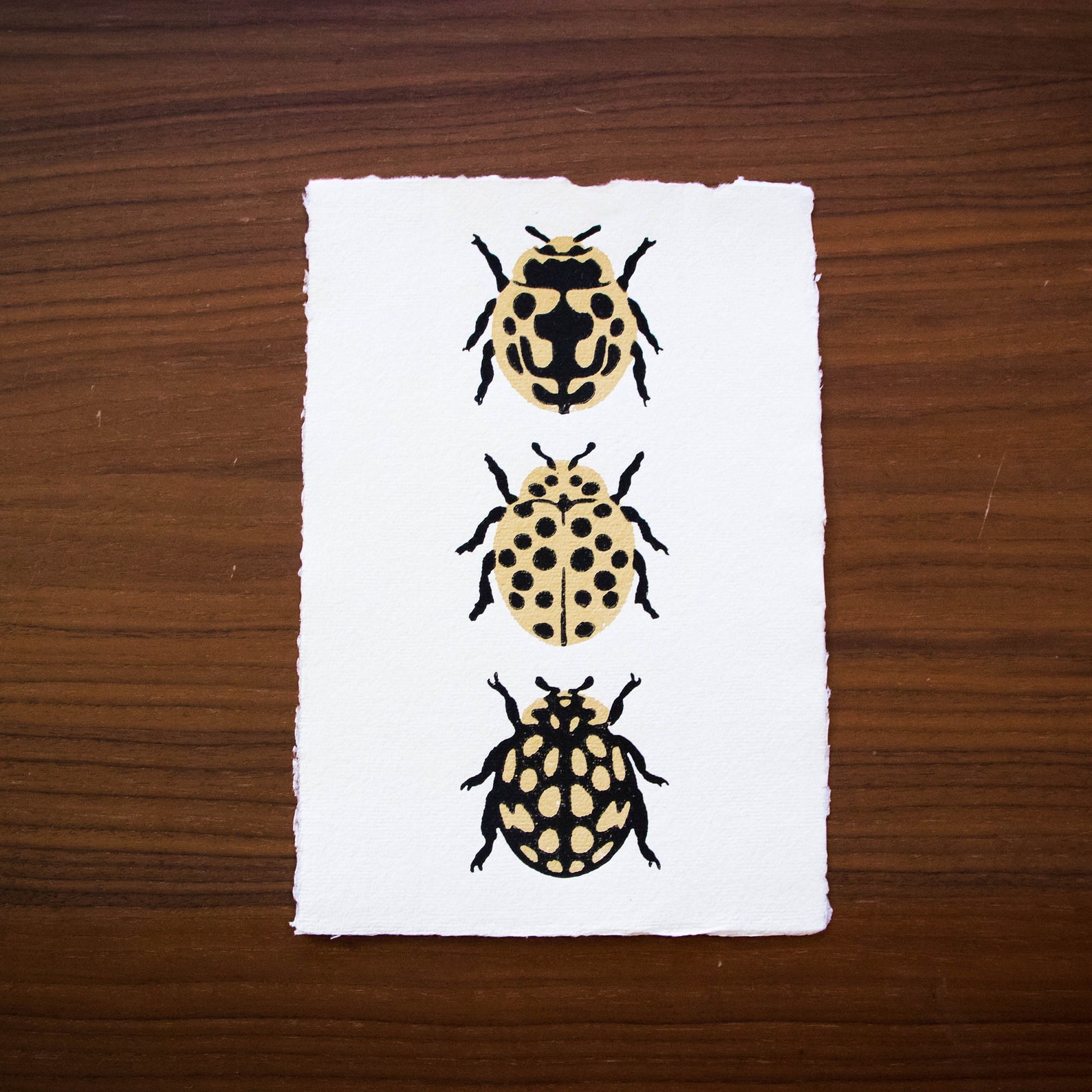 Beige Ladybugs - Etsy