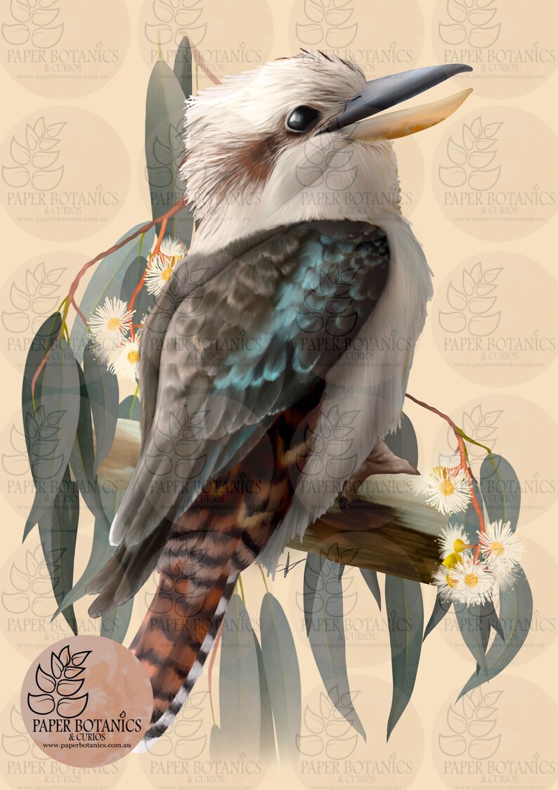 Laughing Kookaburra, Australian Birds for Animal Lovers. Hand Signed ...